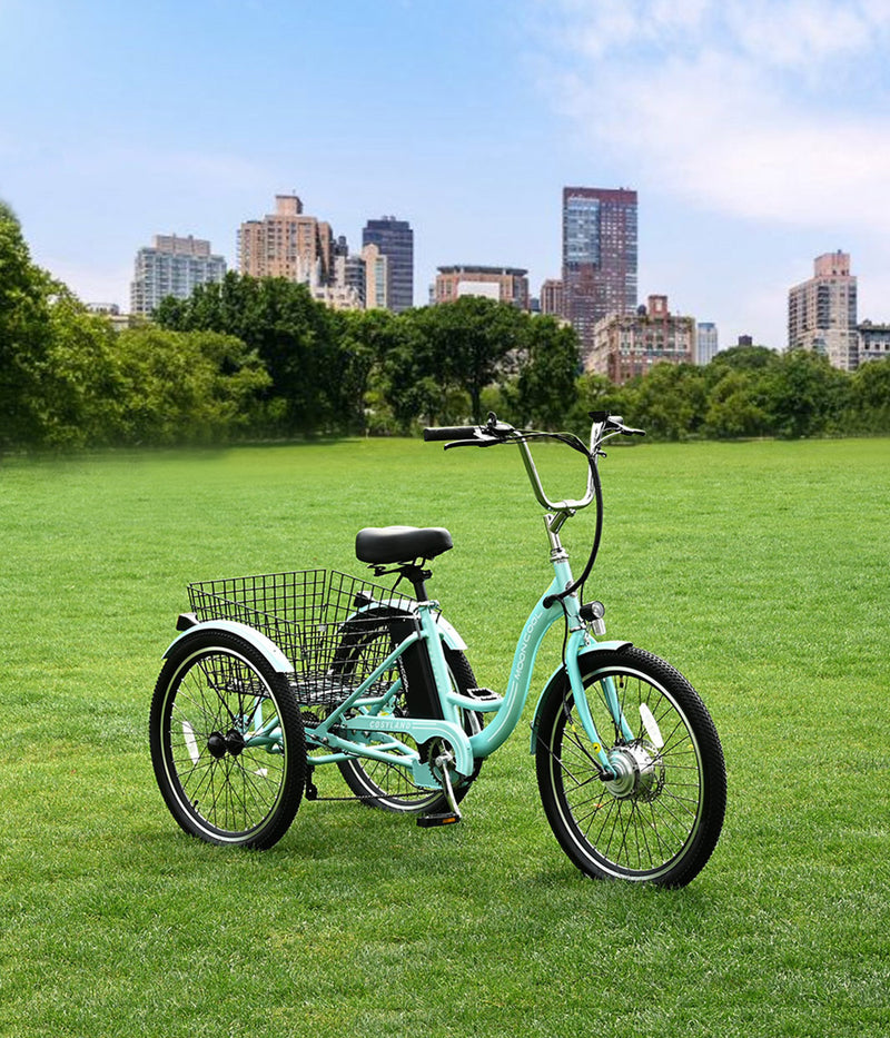Mooncool Electric Trike