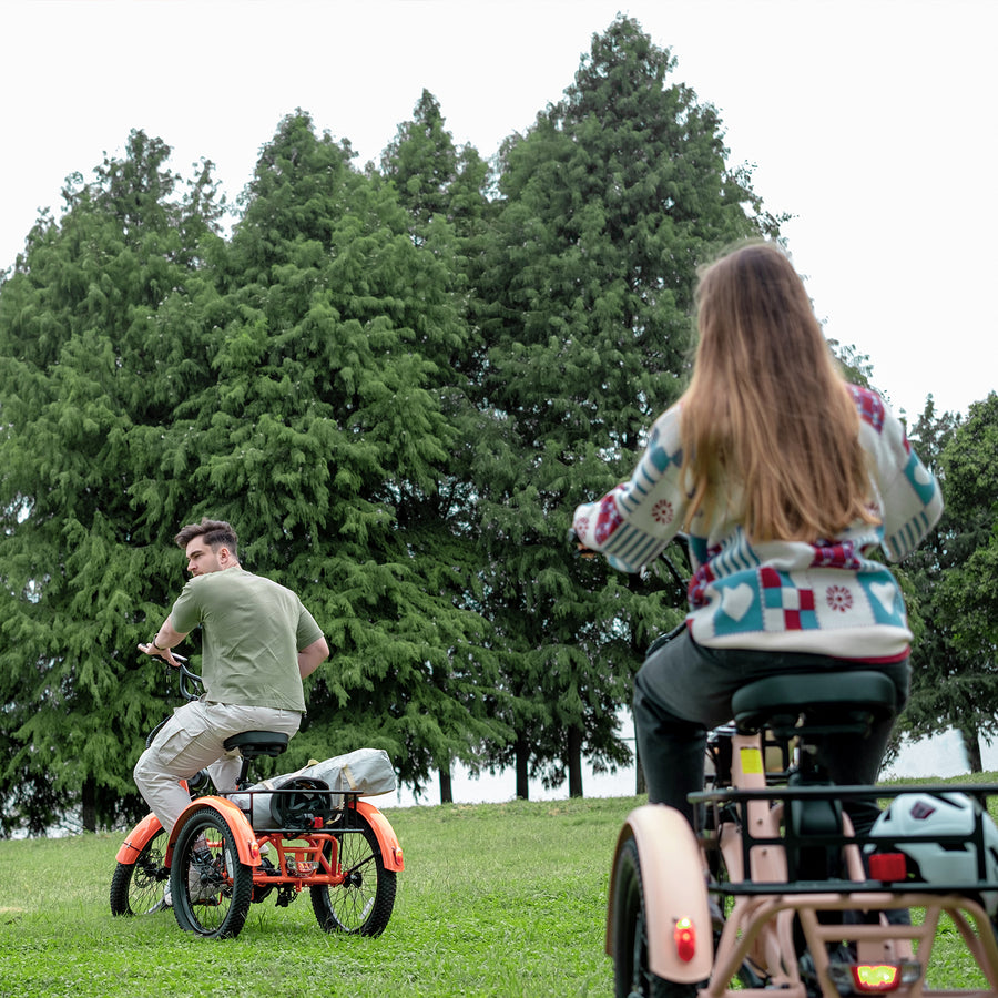 Mooncool Electric Trikes - Seniors, Adults