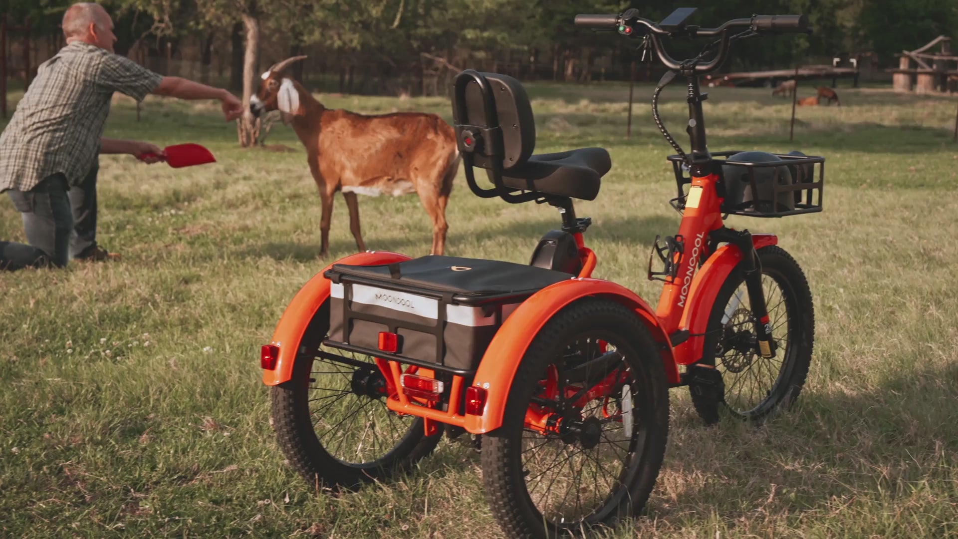 Safe & Sustainable TK2 Electric Trike | Comfortable, Stable Electric ...
